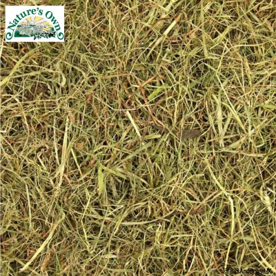 Pet Products | Bits and Bobs UK